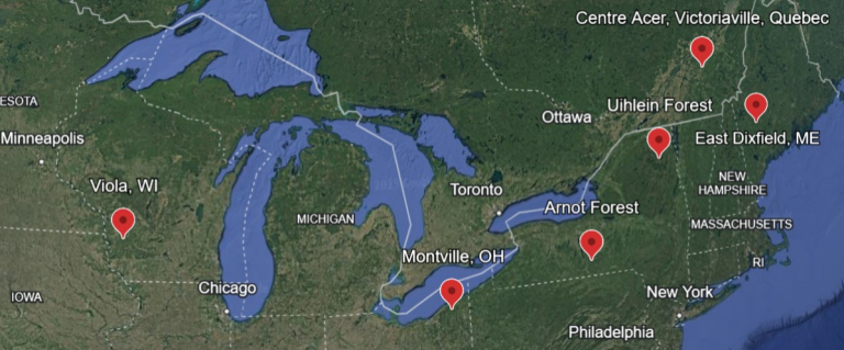 Live Dashboard: Sap Flow and Environmental Measurements – Maple Syrup ...