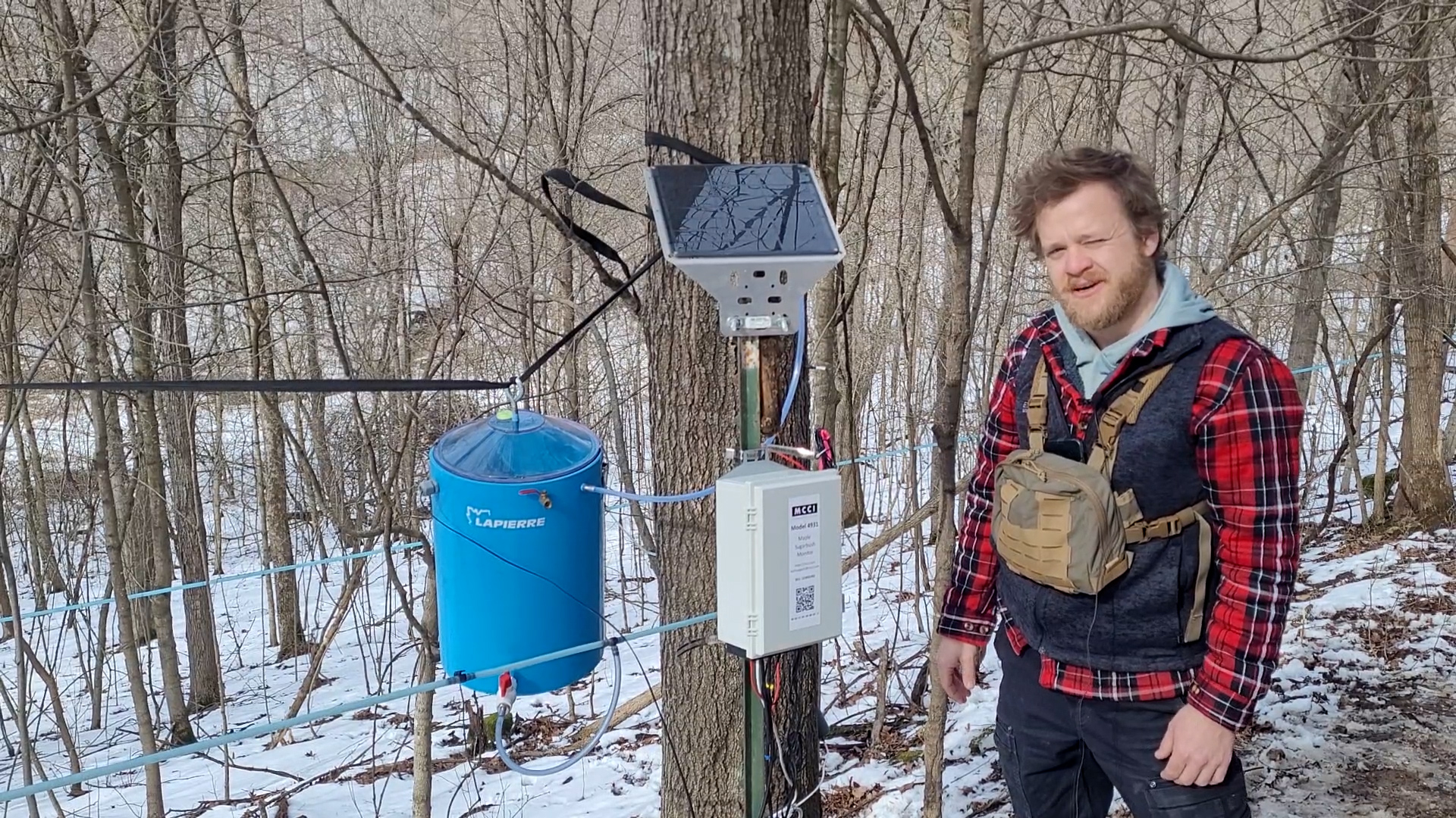 Live Dashboard: Sap Flow and Environmental Measurements – Maple Syrup ...
